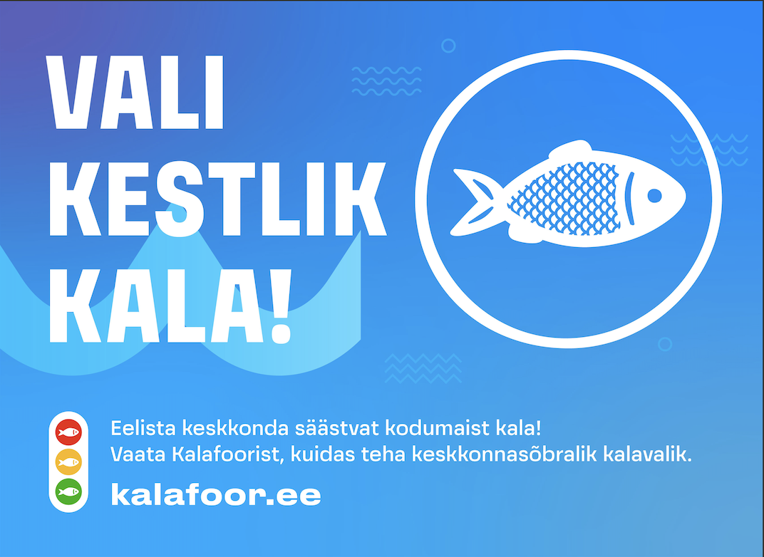 KALAMÄNG | Kalafoor